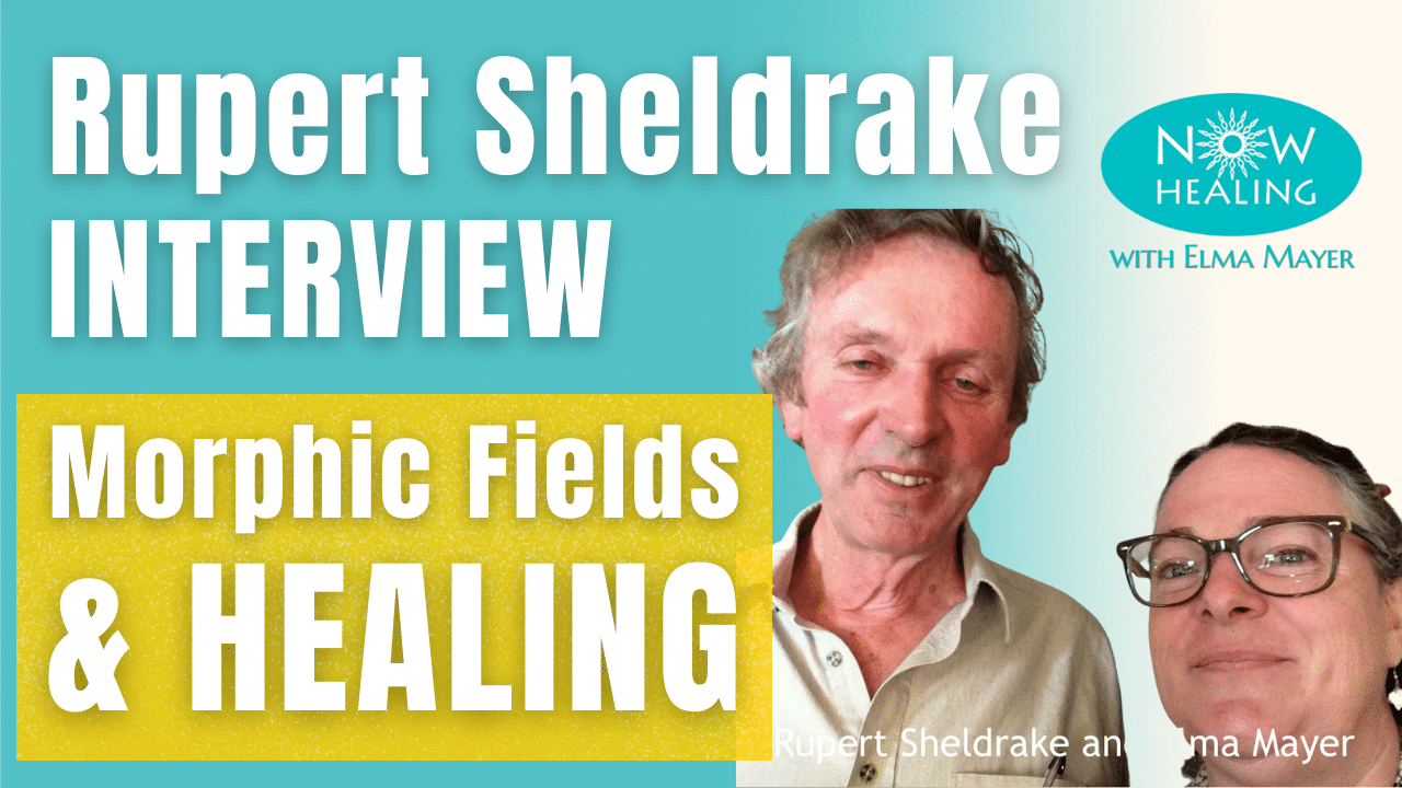 Healing and Morphic Fields - Rupert Sheldrake Interview - Now Healing